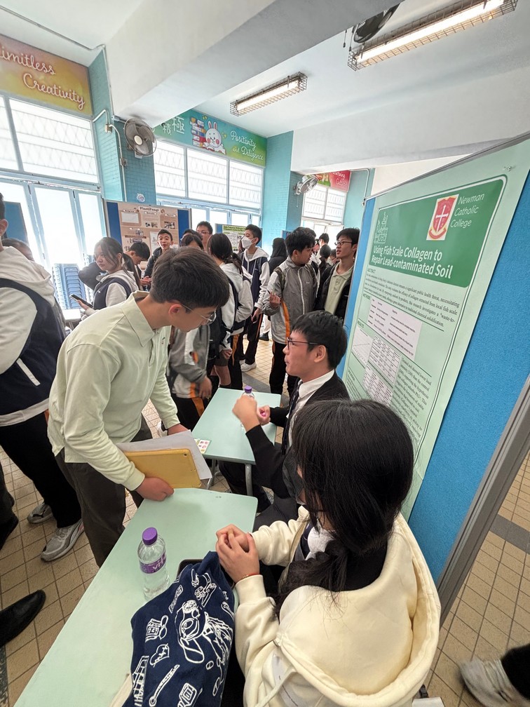 Newman Catholic College